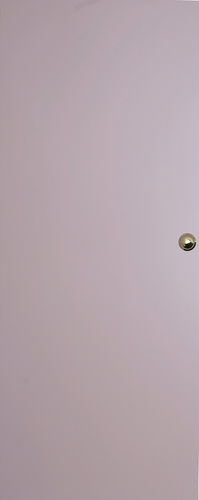 Door Redicote Hinged Only | Agnew Building Supplies