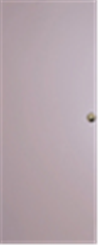 Door Redicote Hinged Only 2340 X 720 X 35Mm | Agnew Building Supplies