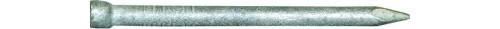 Nail Bullet Head Galv 100 X 4.50Mm | Agnew Building Supplies
